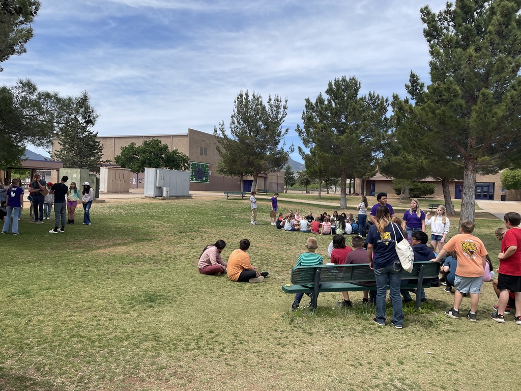 Live Feed | Carmichael Elementary School