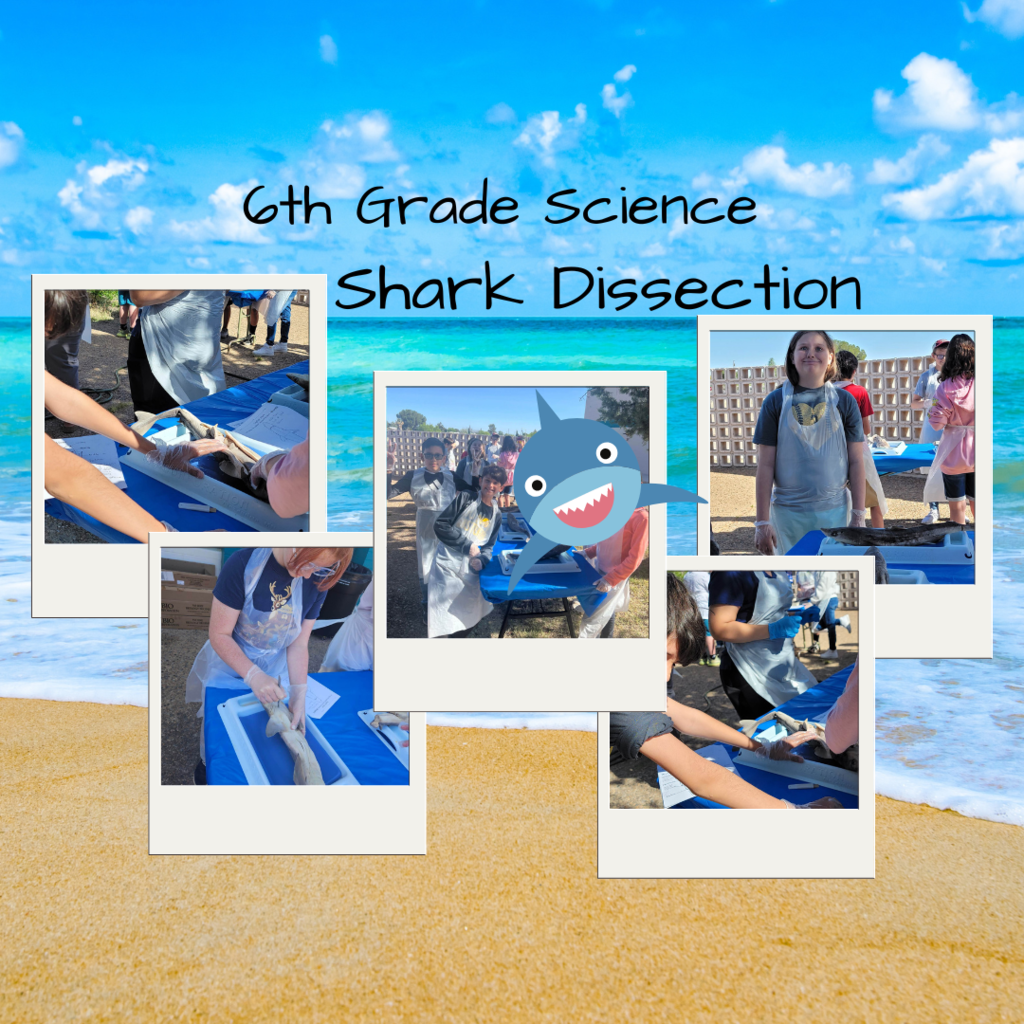 Live Feed | Village Meadows Elementary School