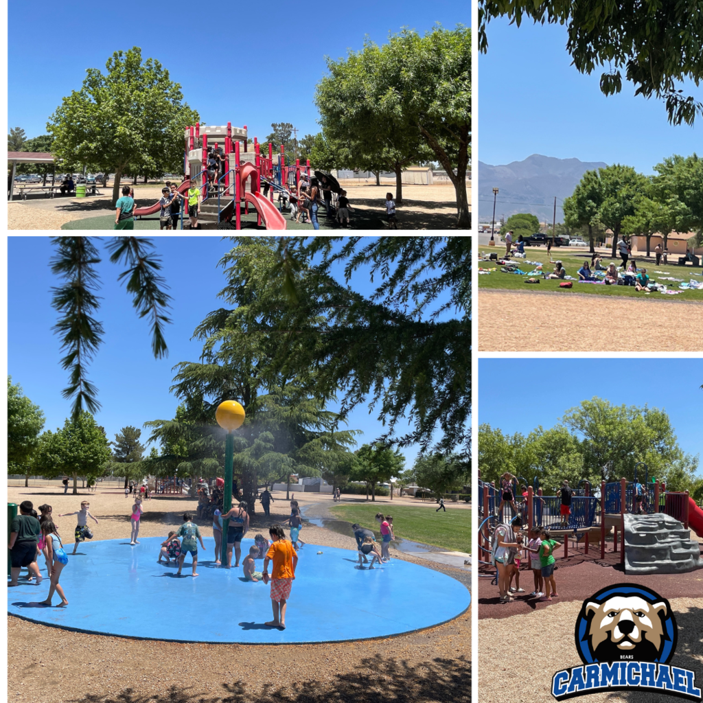 Live Feed | Carmichael Elementary School